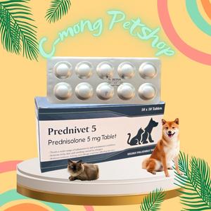 Jual Prednivet 5mg - Tablet Alergi Gatal/ Inflammatory / Autoimun (1 ...