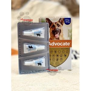 Promo New Advocate For Extra-Large Dogs 25 - 40 Kg Obat Kutu Anjing Per ...