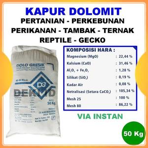 Jual Kapur Dolomit 50 Kg Via Instant Kaptan Dolomite Kemasan Karung ...