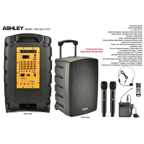 Jual SPEAKER PORTABLE ASHLEY TSA 153 TSA153 15 INCH 600 WATT 3 MIC USB ...
