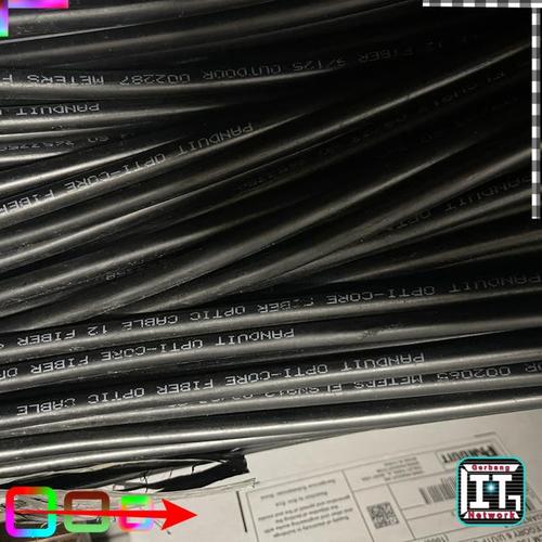 Jual Panduit Opti-Core-FLSN912 – 12 Fiber OS2 Singlemode Armored ...
