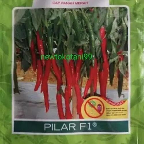 Jual cabe merah besar PILAR F1 1500 butir cabai besar hibrida cmb dari ...