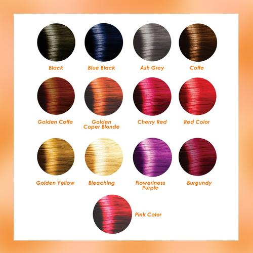 Jual Salsa Pro Color Sensation / Hair Color / Cat Semir Rambut Dye ...