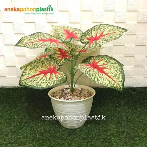 Jual Pohon sri rejeki merah artificial plastik latek/daun sri rejeki ...