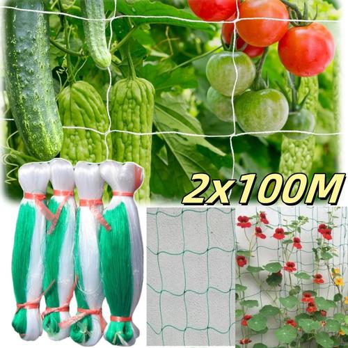 Promo Vinnatsu 2m×100m Jaring Rambatan Tanaman Buah/ Buah Plant Climbing Net MURAH/Jaring ...