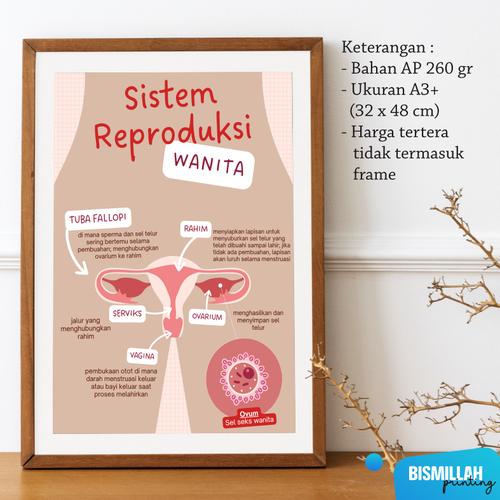 Jual Poster Sistem Reproduksi Wanita - Kota Surabaya - bismillah ...