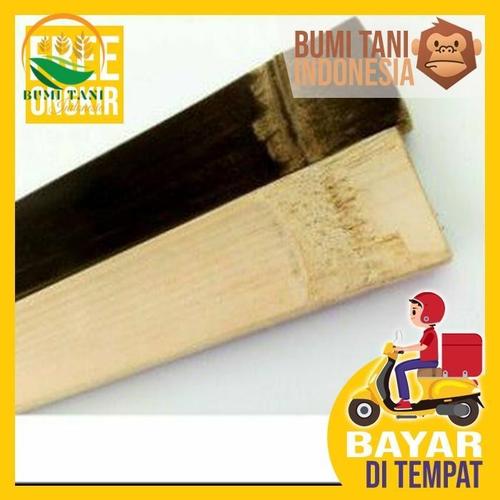 Jual AJIR BAMBU HITAM Bambu Wulung Untuk Kerajinan Dan Kandang Tanaman ...