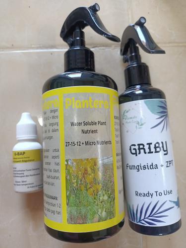 Promo Paket Perawatan Tanaman Di Fase Vegetative ( BAP-Plantera Kuning ...