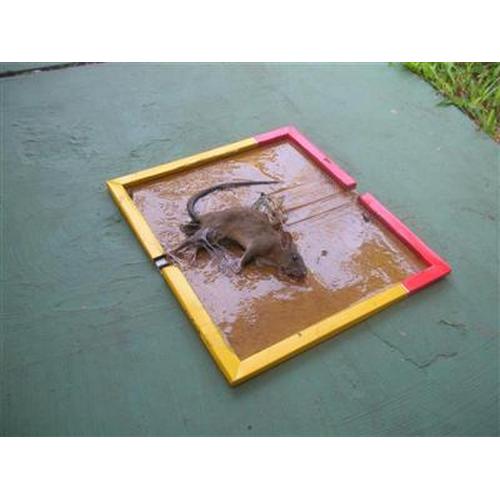 Jual Lem Tikus Cap Gajah Papan Perangkap Trap Super Lengket Nempel Rat ...