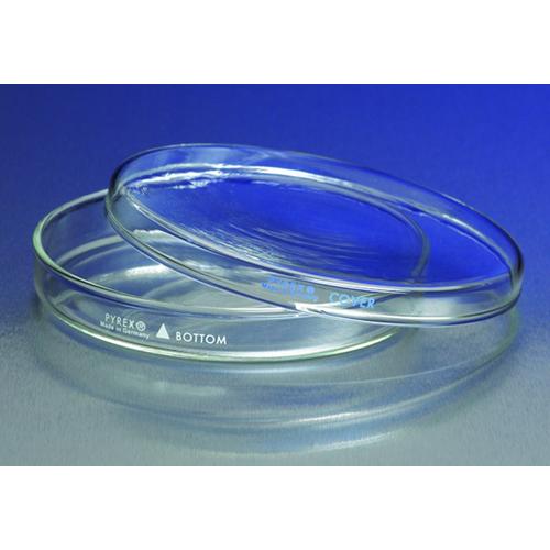 Jual PYREX 3160-102 Petri Dish 100x20 | Cawan Petri - Kota Surabaya ...