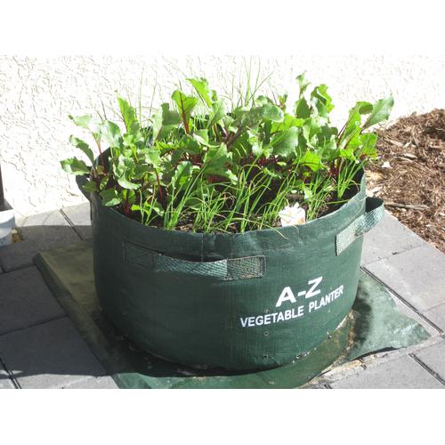 Jual Vegetable Planter Large - Kota Tangerang - Planterbag Easy grow ...