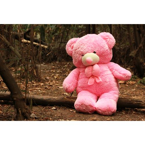 Boneka Teddy Bear Pink