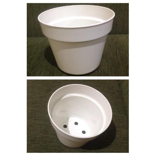 Jual Pot Plastik Putih dia.10 cm, untuk Hidroponik, Organik ...