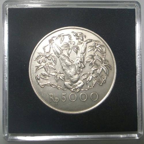 Jual Koin Perak 5000 Rupiah Tahun 1974 - Kab. Lahat - AntiqueShop ...