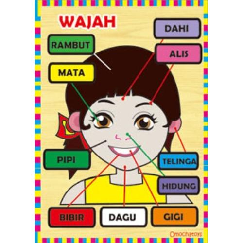 Jual puzzle belajar mengenal bagian wajah / muka manusia anatomi ...