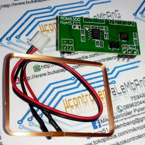Jual RDM6300 125KHz RFID Reader Module - Kota Palembang - MikroPal ...