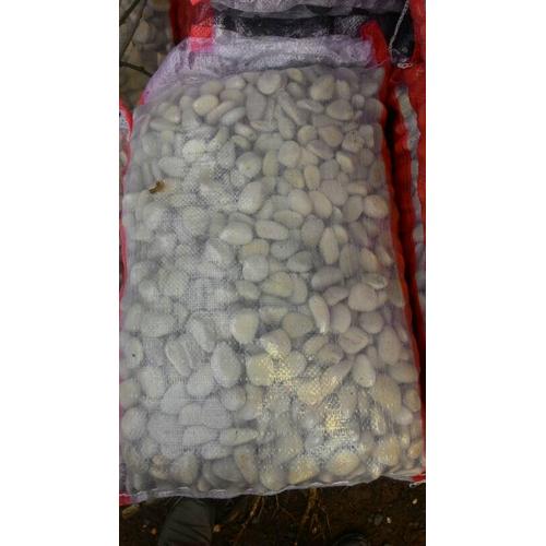 Jual batu koral putih - Jakarta Timur - ismailsitompul | Tokopedia