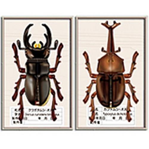 Jual DIY Miniatur Papercraft Hewan Serangga Kumbang Tanduk - Jakarta ...