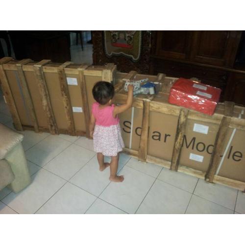 Jual Packing Kayu Panel Surya 100WP - Jakarta Selatan - Listrik Sinar ...