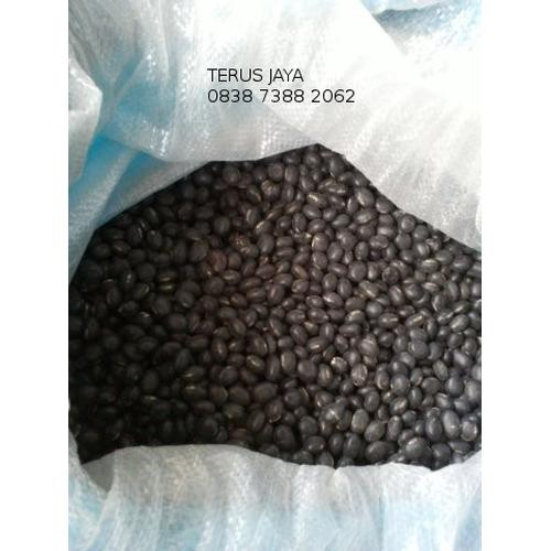 Jual Kacang Hitam Kacang Kedelai Hitam - 500g - Jakarta Barat - Terus ...