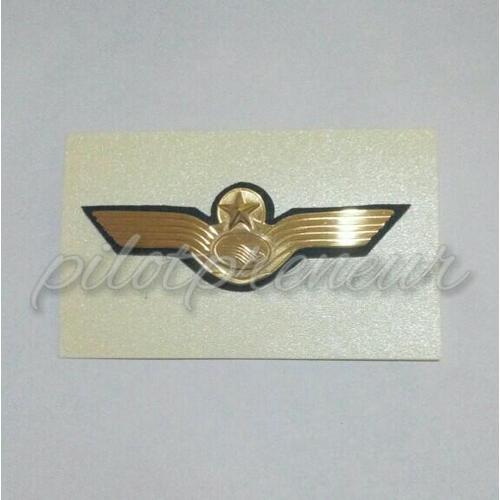 Jual Wings Pilot Original Garuda Indonesia - Kota Depok - Pilotpreneur ...