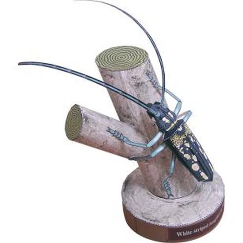 Jual DIY Miniatur Papercraft Serangga White Striped Longhorn Beetle ...