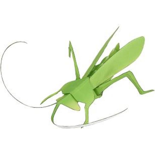 Jual DIY Miniatur Papercraft Serangga Kayakiri - Jakarta Timur ...