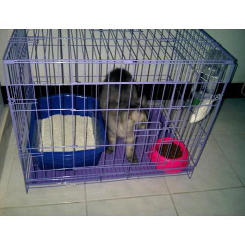 Jual Kandang Kucing 012 / kandang Kelinci / kandang Anjing Musang pet ...