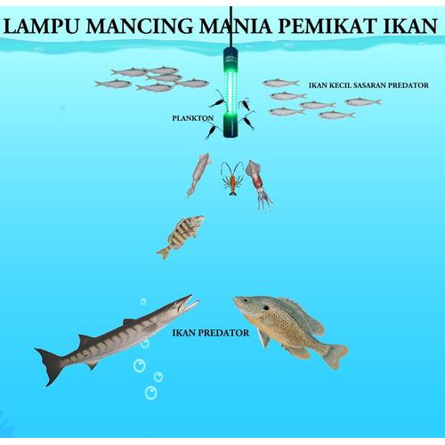 Jual LAMPU MANCING MANIA - PEMIKAT IKAN - Kota Malang - A3 - Store ...