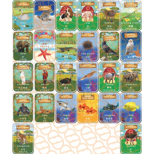 Jual Kartu Belajar Hewan Gambar Asli / Flash Cards Animal Real Image ...