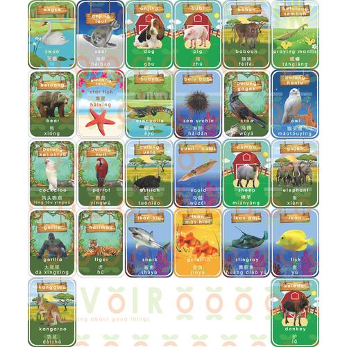 Jual Kartu Belajar Hewan Gambar Asli / Flash Cards Animal Real Image ...