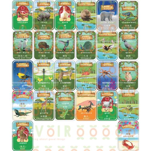Jual Kartu Belajar Hewan Gambar Asli / Flash Cards Animal Real Image ...