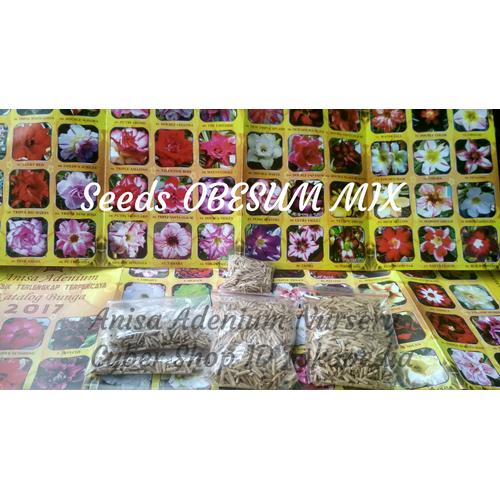 Jual Seeds/Benih/Biji Tanaman Hias Adenium OBESUM MIX (Lokal&Import ...
