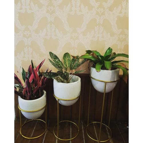 Jual Pot Bunga Cantik Tipe Pot Egg Terrazzo finising mengkilat - Kota ...