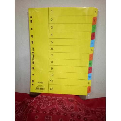 Jual Pembatas Kertas File Dokumen Bantex Cardboard Divider A4 - 12 ...