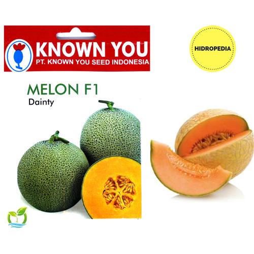 Jual Benih Bibit Melon F1 Dainty (6 seeds) - Known You Seed - Kota ...