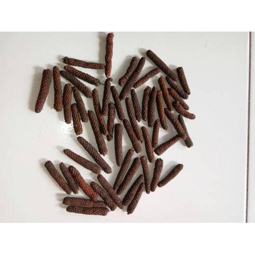 Jual Cabe Jamu / Cabe Puyang / Cabe Jawa / Long Pepper Murah - Kab ...
