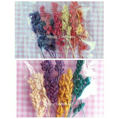 Jual dried flower bunga kering hiasan resin bahan craft scrapbook clay ...