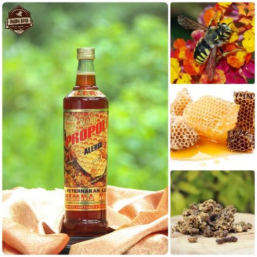 Jual Madu Propolis Alergi - Kota Malang - Rimba Raya Bee Farm | Tokopedia