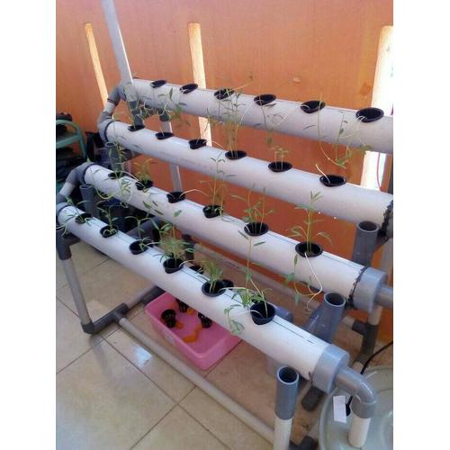 Jual Hidroponik /Kit Hidroponik Full Set Lengkap - Kab. Cirebon ...