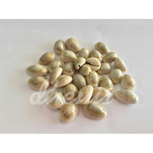 Jual Kuwuk - biji congklak kerang - Jakarta Barat - Dheuis | Tokopedia