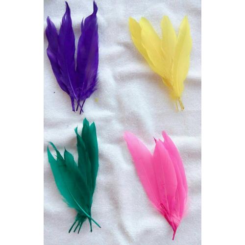 Jual Bulu ayam warna warni/ bulu angsa/ 1 pack isi 50/ Rp 15.000 ...