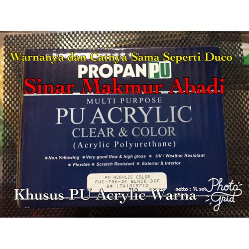 Jual PROPAN PU ACRYLIC "WARNA-WARNA" DUCO - WHITE DOFF - Kota Bandung ...