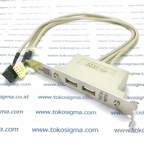 Jual HEADER 2 PORT USB 2.0 TO MAIN BOARD - REAR PANEL USB2.0 port cable ...