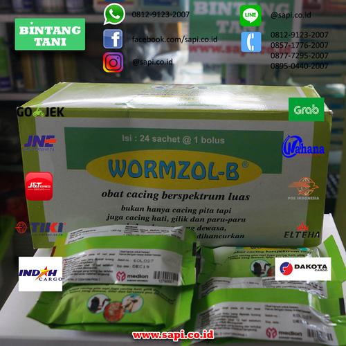 Jual Wormzole Bolus (Obat Cacing Berspektrum Luas Untuk Ternak) - Kab. Bogor - Star Farm | Tokopedia