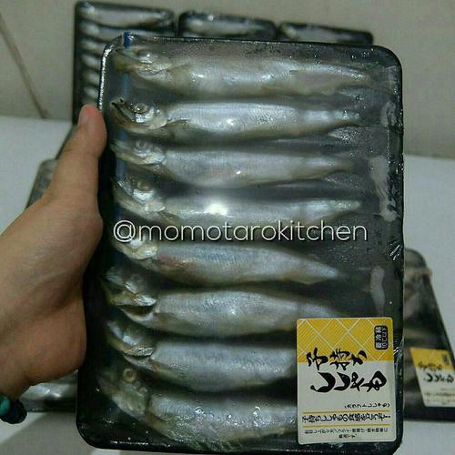 Jual Ikan Shisamo / Shisamo Fish - Jakarta Barat - MomotaroKitchen ...