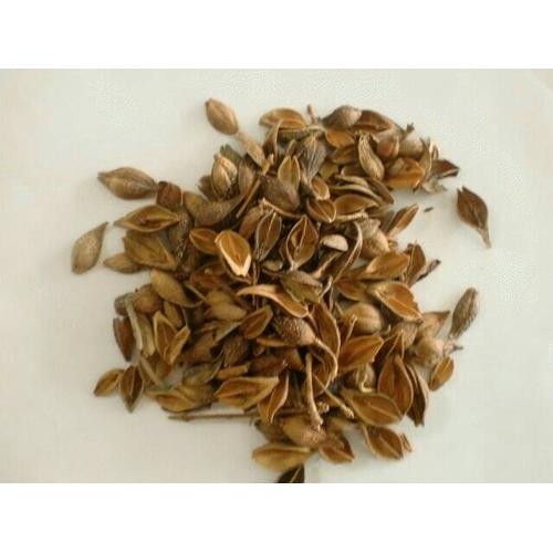 Jual 300 G GR GRAM 连翘壳 LIAN QIAO KE FORSYTHIA SUSPENSA FRUIT - Jakarta ...