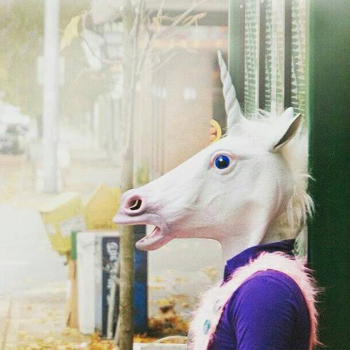 Jual Horsemask Unicorn Topeng Kuda High Quality - Jakarta Barat ...