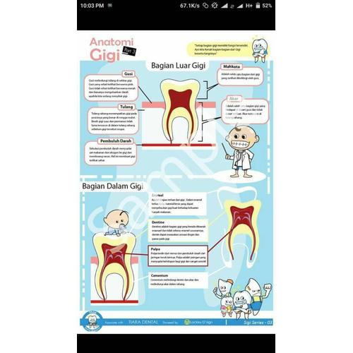 Jual POSTER GIGI A3+ TEMA ANATOMI GIGI - Kota Depok - visidenta media ...