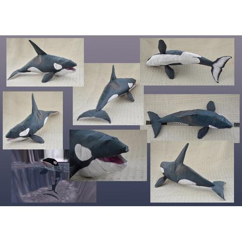 Jual DIY Miniatur Papercraft Hewan Ikan Paus - Jakarta Timur ...